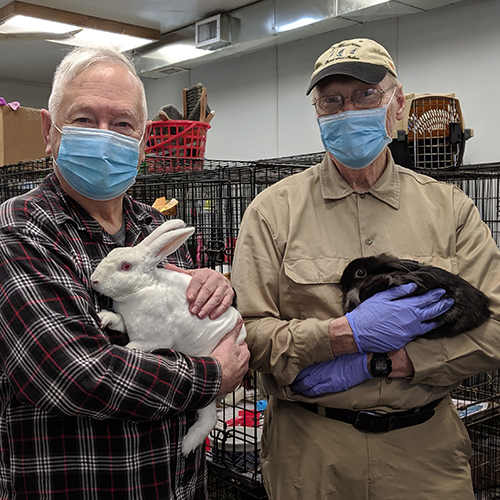 Meet the Team – Erie Area Rabbit Society and Rescue (EARS)