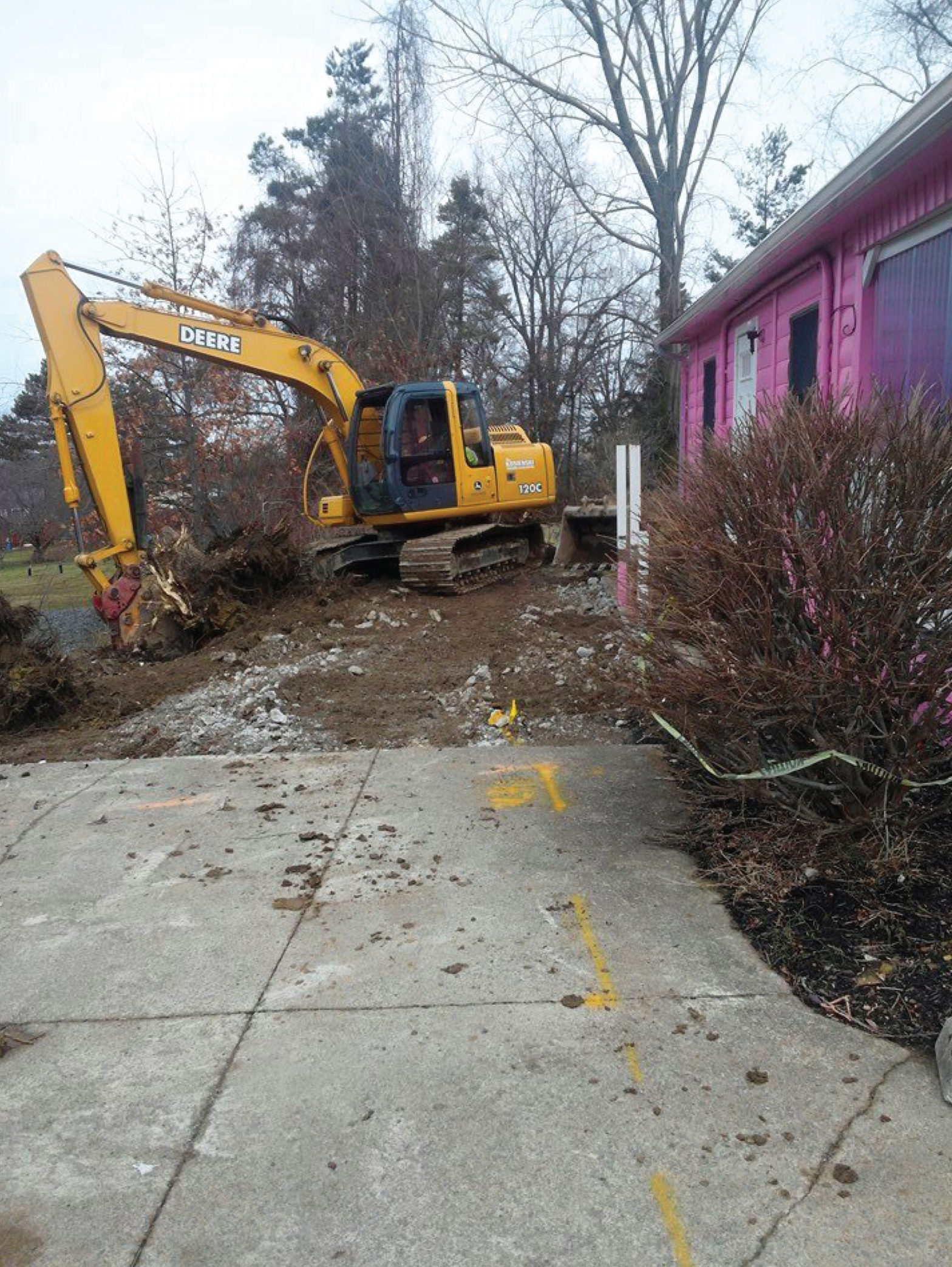 EARS Through the Years - Erie Area Rabbit Society and Rescue (EARS)