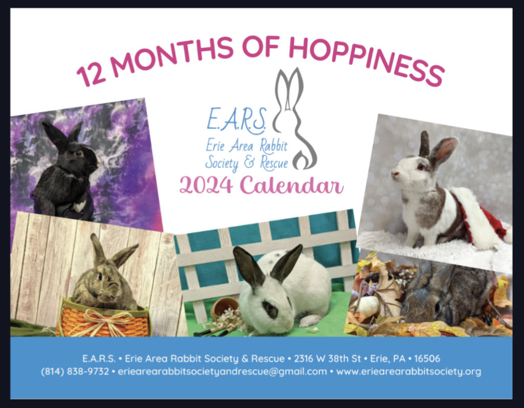 EARS 2024 Rabbit Calendar - Erie Area Rabbit Society and Rescue (EARS)